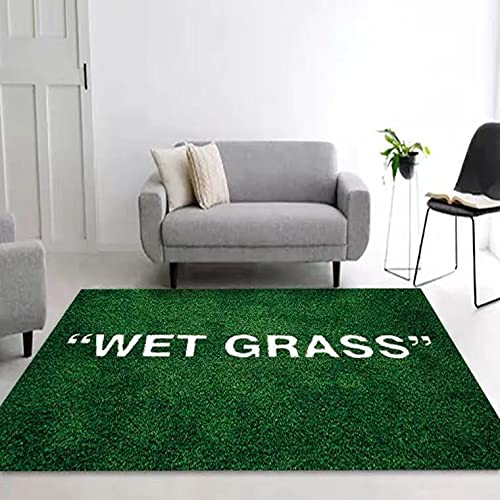 ALviso Carpet Wet Grass Rug Living Room Decoration Bedroom Bedside Bay Window Area Rugs Sofa Floor Mat (Color : Green, Size 120x160cm)