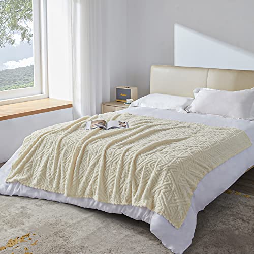 BEAUTEX Jacquard Fleece Throw Blanket(50''x60'', Beige) for Couch Bed and Sofa, Soft Sherpa Fuzzy Blankets Throw Size, Cozy Fluffy Plush Throws for All Seasons Using