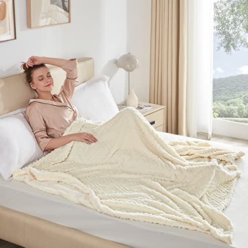 BEAUTEX Jacquard Fleece Throw Blanket(50''x60'', Beige) for Couch Bed and Sofa, Soft Sherpa Fuzzy Blankets Throw Size, Cozy Fluffy Plush Throws for All Seasons Using