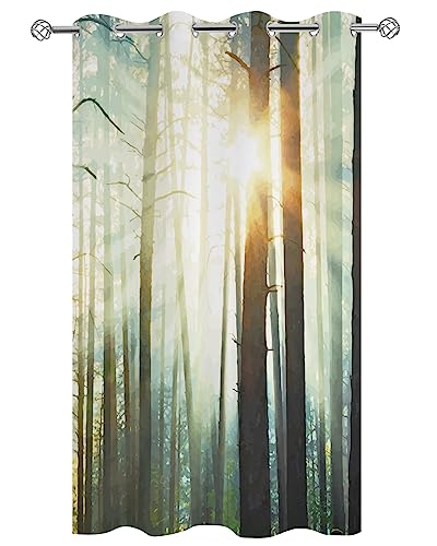 HERBED Outdoor Curtains for Patio 1 Panel Mysterious Forest Under The Sun Waterproof Privacy Outside Curtain Sun Blocking Grommet Blackout Drapes for Porch Gazebo Pergolas Balcony 52x84 Inch