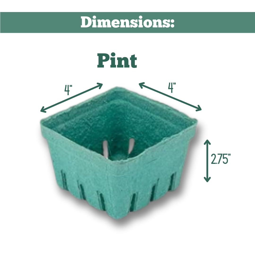 Kitchens Green Molded Pulp Fiber Berry / Produce Vented 1 Pint Basket 40 Pieces