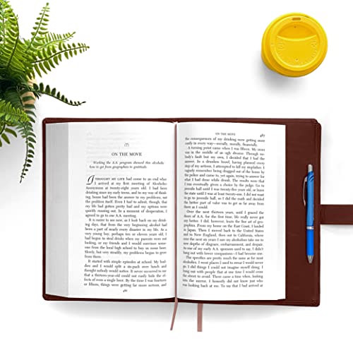 Large Print Double AA Big Book Cover & 12 Steps & 12 Traditions | by Galileo | Perfect Gift | Alcoholics Anonymous (Large Print/Brown)