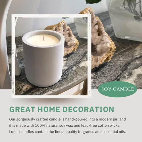 Lumin Pine Candle - Soy Candles for Home Decor Infused with Essential Oils - Pine Scented Candles - Birthday Gifts for Both Women and Man, Aromatherapy Extra Large Candle 120 Hr+, 25 oz