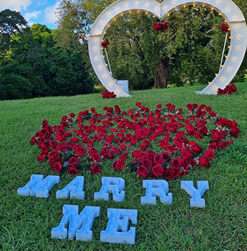 JUICYRAUL 7 LED Marquee Letter Lights Marry Me Sign,Marry Me LED Marquee Letter Lights,Marry Me Light up Letter Numbers for Romantic Proposal, Wedding Sign, Engagement Sign