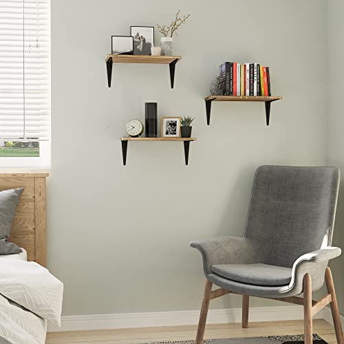 Wallniture Arras 17"x8" Wall Bookshelves for Living Room Decor Kitchen Organization Office Decor, Shelves for Bedroom & Bathroom Storage Set of 3, Burnt Finish