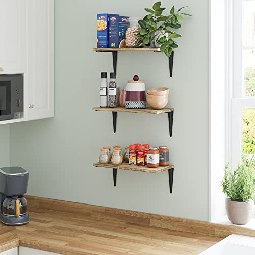 Wallniture Arras 17"x8" Wall Bookshelves for Living Room Decor Kitchen Organization Office Decor, Shelves for Bedroom & Bathroom Storage Set of 3, Burnt Finish