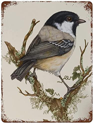 Metal Vintage Tin Sign Decor Chickadee Bird Tin Sign Chickadee Sign Bird Tin Sign Wildlife Wall Decor Wall Poster Plaque for Home Kitchen Bar Pub Club Coffee Shop Decor 8x12 Inch