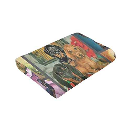 Dachshund Dog Pattern Blanket Super Soft and Warm Flannel Throw Blankets for Couch Sofa Dachshund Gifts for Kids and Adults