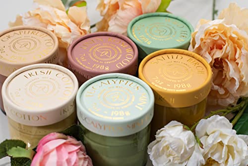 Paddywax Firefly Candle Co. Optimist Scented Candles with Soy Wax Blend and Reusable Glass Jar for Home Fragrance and Aromatherapy - 7 Ounce, Linen Rosewood, Dusty Pink