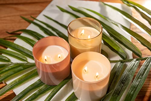 Paddywax Firefly Candle Co. Optimist Scented Candles with Soy Wax Blend and Reusable Glass Jar for Home Fragrance and Aromatherapy - 7 Ounce, Linen Rosewood, Dusty Pink