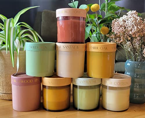 Paddywax Firefly Candle Co. Optimist Scented Candles with Soy Wax Blend and Reusable Glass Jar for Home Fragrance and Aromatherapy - 7 Ounce, Linen Rosewood, Dusty Pink