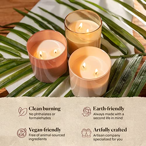 Paddywax Firefly Candle Co. Optimist Scented Candles with Soy Wax Blend and Reusable Glass Jar for Home Fragrance and Aromatherapy - 7 Ounce, Linen Rosewood, Dusty Pink