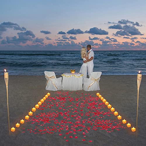 BLOCE 1000 Pieces Artificial Rose Petals with 24Pcs Heart Battery LED Tealight Candles, Rose Petals for Romantic Night for Him Set Valentine's Day (Warm White)