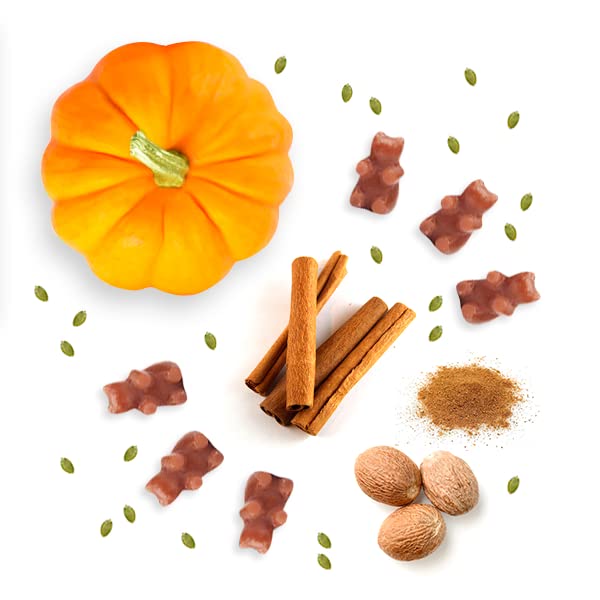 Happy Wax Classic Pumpkin Collection Scented Natural Soy Wax Melts β 6 Total Oz. of Scented Wax Melts, Collection Includes 2oz Pumpkin Souffle, 2oz Pumpkin Maple Crunch, and 2oz Pumpkin Spice Latte