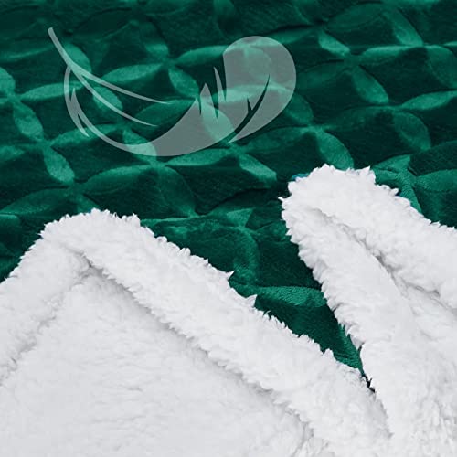 inhand Sherpa Throw Blanket 51”x63” Warm Soft Large Forest Green Sherpa Fleece Blankets and Throws Cozy Fluffy Reversible Flannel Fleece Blanket for Couch Sofa Bed Lap Plush Fuzzy Brushed Blanket