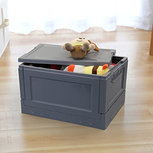 Morcte 2-Pack Collapsible Plastic Storage Box with Lids, Folding Storage Bin, Gray