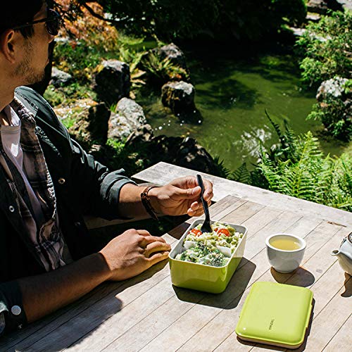 Topdrawer Takenaka Double Layer Bento Box, Microwave and Dishwasher Safe, BPA Free, Persimmon