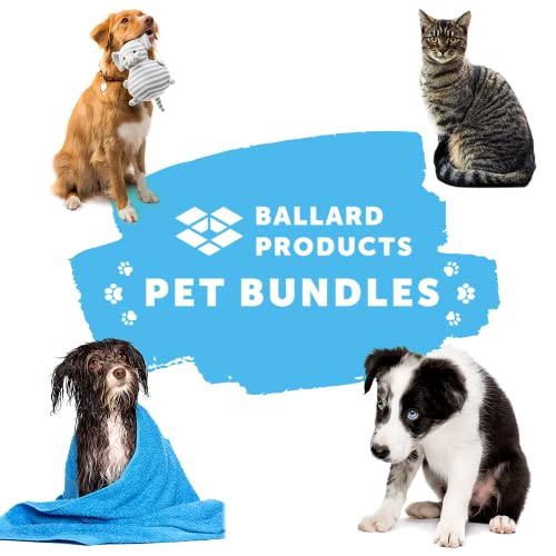 Pet Odor Exterminator Scented Candle Creamy Vanilla - Pack of 2 - Odor Eliminating Candle Bundle with Ballard Products Car Air Freshener
