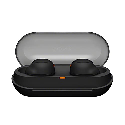 Sony WF-C500 Truly Wireless in-Ear Bluetooth Earbud Headphones (Black) with Earbud Case Bundle (2 Items)