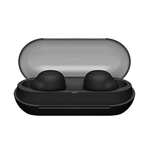 Sony WF-C500 Truly Wireless in-Ear Bluetooth Earbud Headphones (Black) with Earbud Case Bundle (2 Items)