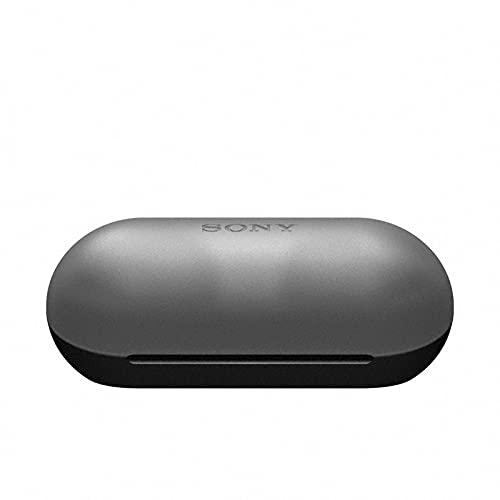 Sony WF-C500 Truly Wireless in-Ear Bluetooth Earbud Headphones (Black) with Earbud Case Bundle (2 Items)