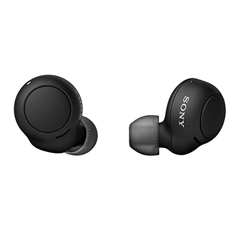 Sony WF-C500 Truly Wireless in-Ear Bluetooth Earbud Headphones (Black) with Earbud Case Bundle (2 Items)