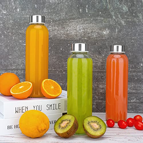 Sursip 18oz Glass Water Bottle Set of 10, Clear glass juice bottle for juicing,Reusable Drinking Bottles with Stainless Steel Lid,Beverage Storage Containers for Refrigerator-BPA Free,Leak Proof