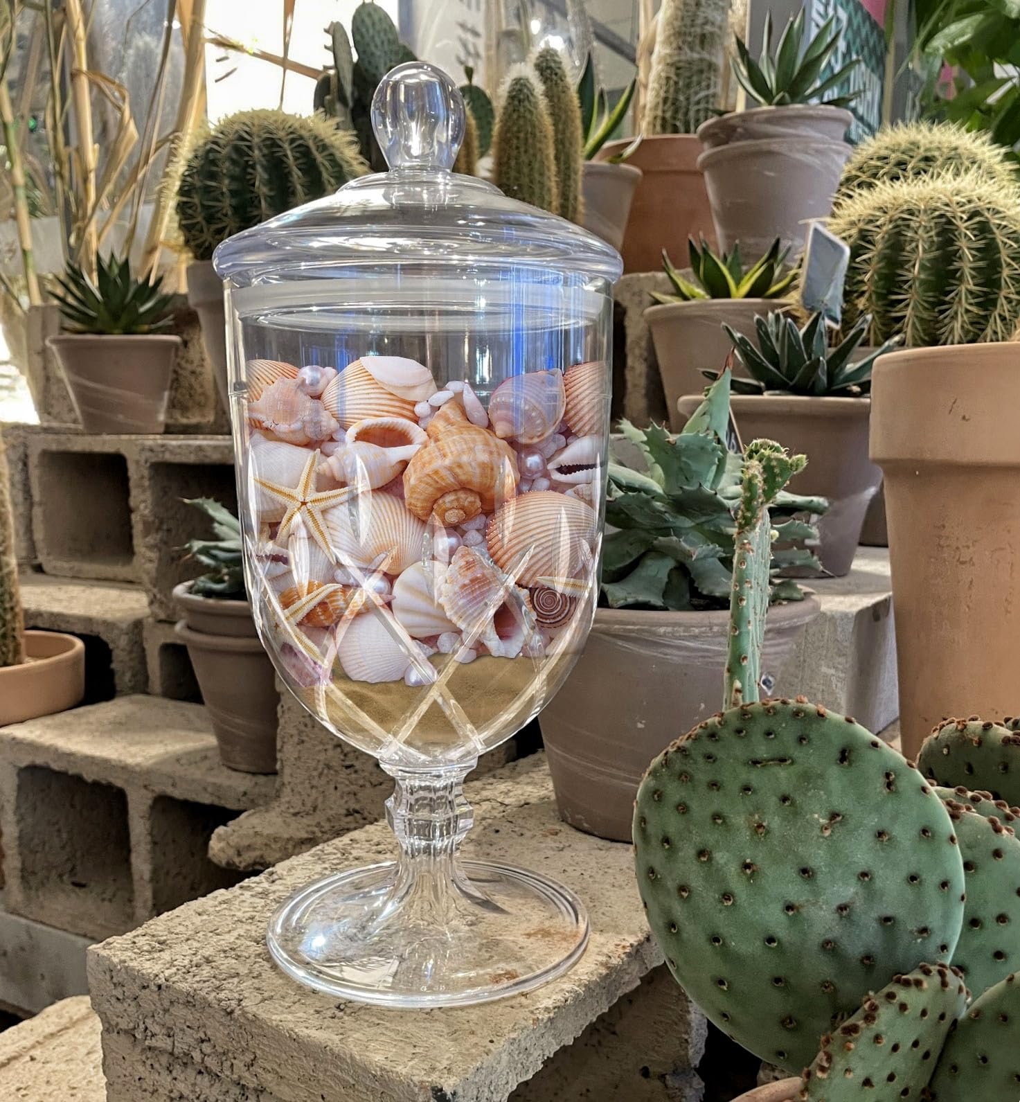 baflovga Candy Jars with Airtight Lids, 71 OZ Acrylic Cookie Jars, Plastic Apothecary Jars, Elegant Storage Canisters for Candy Buffet, Bathroom, Party, Wedding, Break-Resistant, Clear