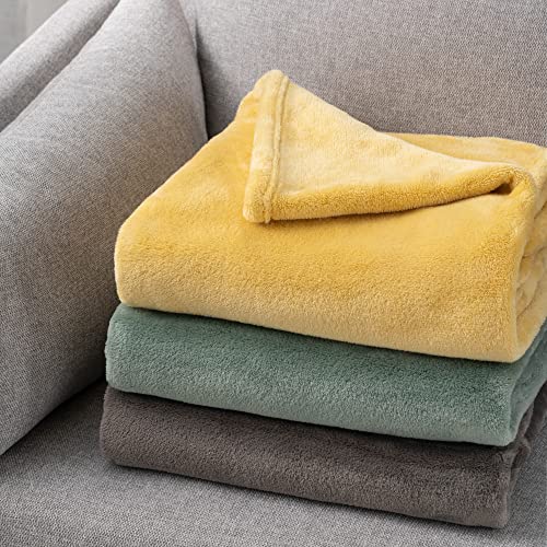Mellowdy Plush Flannel Blanket Cozy Warm Soft Fleece Fall Fuzzy Throw Blanket for Couch Sofa Bed Camping Traveling Boys Girls (Misted Yellow, 50''x60'') - 320GSM