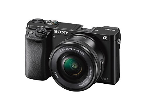 Sony Alpha a6000 Mirrorless Digital Camera w/ 16-50mm and 55-210mm Power Zoom Lenses