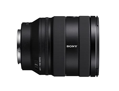 Sony FE 20-70mm f/4 G Lens (Sony E)