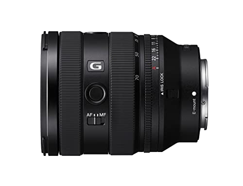 Sony FE 20-70mm f/4 G Lens (Sony E)