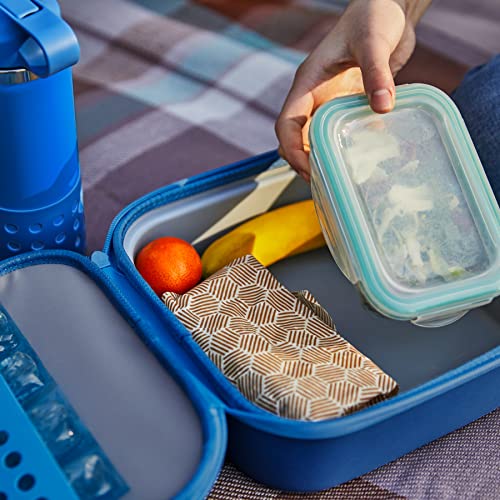Hydro Flask Kids Small Insulated Lunch Box Firefly