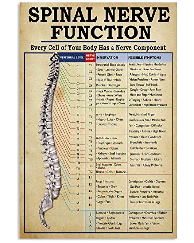 HOUVSSEN Chiropractor Spinal Nerve Function , Celebration Vintage Courtyard Restaurant Store Signs Posters Retro Bar Pub Garage Novelty Funny Metal Tin Art Wall Decor 8x12 Inch