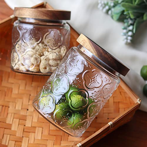 HolaJia Glass Jar with Lid – 24oz Glass Storage Containers – Premium Jars with Airtight Lids for Coffee, Rice, Sugar – Decorative Cookie Jars for Kitchen Counter, Pantry(Begonia flowers)