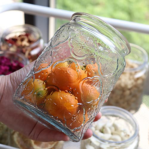 HolaJia Glass Jar with Lid – 24oz Glass Storage Containers – Premium Jars with Airtight Lids for Coffee, Rice, Sugar – Decorative Cookie Jars for Kitchen Counter, Pantry(Begonia flowers)