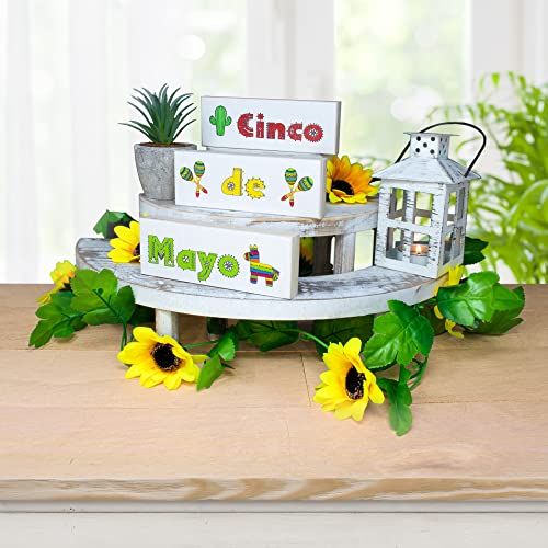 JennyGems Cinco De Mayo Wooden Signs Set, Decor for Cinco De Mayo, Tiered Tray Sign for Cinco De Mayo, Made in USA