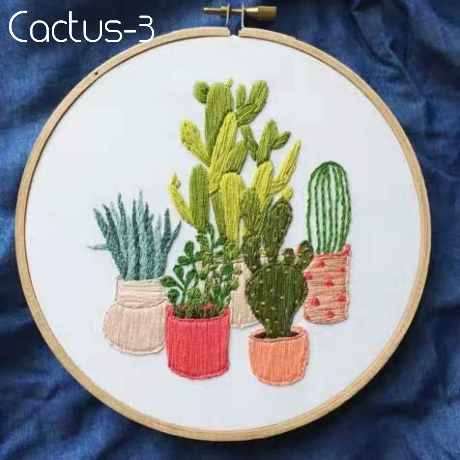 Highkick Embroidery Starter Kits for Adults Beginners with Stamped Pattern, Embroidery Floss + Needles + Hoop, Cactus Series, 3 Pack