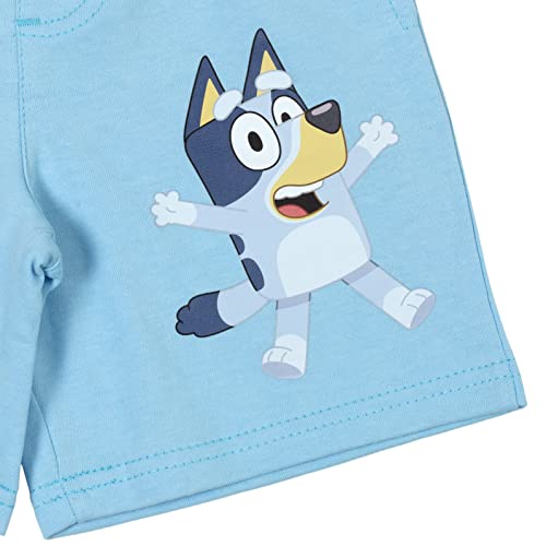 Bluey Bingo Toddler Boys French Terry 2 Pack Shorts Blue/Grey 3T