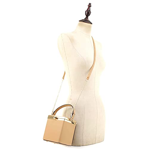 Small Medium Top Handle Square Frame Clutch Purse Crossbody Bag (zBlack)