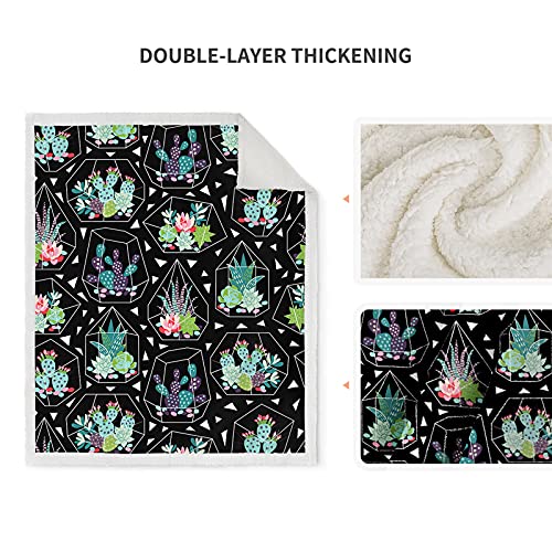 Jekeno Cactus Sherpa Blanket Plant Print Throw Blanket Lightweight Cozy Warm for Sofa Chair Bed Office 50"x60"