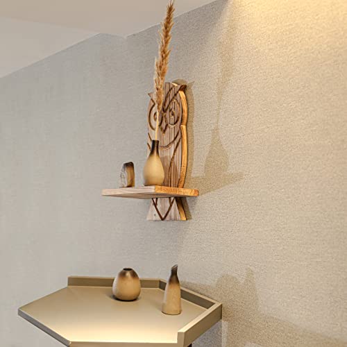 ALONLIENGU Floating Shelves Wall Mounted, Wood Hanging Shelf for Bedroom Living Room Bathroom Kitchen, Owl Animal Shape (Torched Wood)