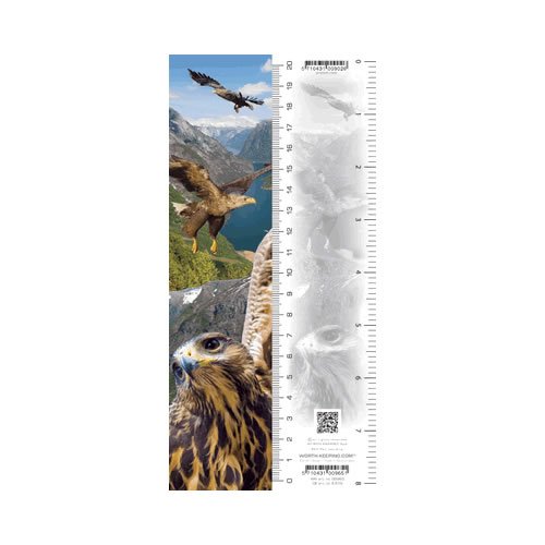 Spectacular 3D bookmark - BIRDS OF PREY