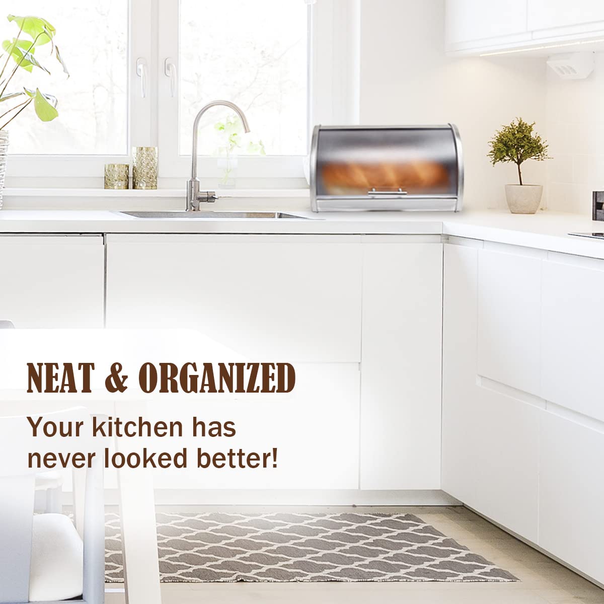Galashield Bread Box for Kitchen Countertop | Bread Holder Storage Container | Bread Bin Stainless Steel with Frosted Acrylic Roll Top