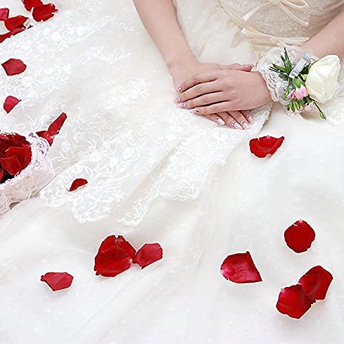 DoraMagic Dried Red Rose Petals, Real Natural Dried Rose Petals 1.75oz/50g for Bath, Soap Making, Candle Making, Wedding, Confetti, DIY Crafts, Non Edible