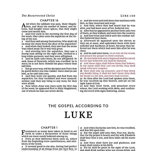 Personalized Bible Custom Text Your Name KJV Deluxe Gift Holy Bible Pink Leathersoft King James Version Custom Made Gift for Baptism Christenings Birthdays