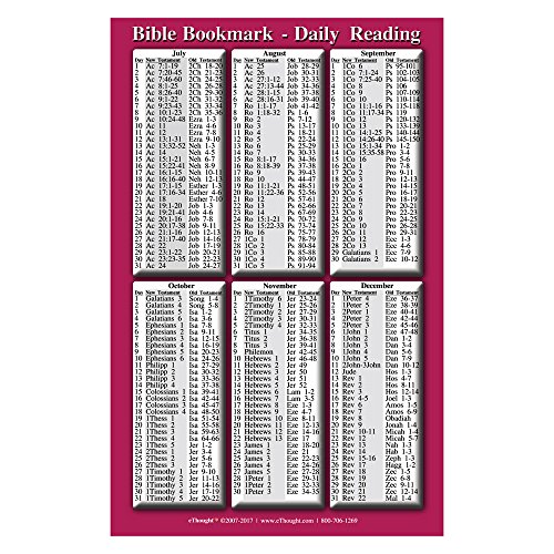 eThought Daily Bible Study Bookmark and Reading Guide - Read The Bible in a Year, Devotional Companion, Gifts for Believers and Scripture Seekers, Pack of 25 (BB-DRYR-25)