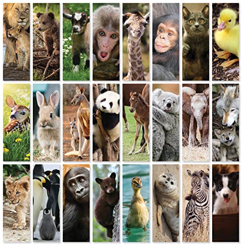 JBH Creations Baby Animal Bookmarks - Pack of 48