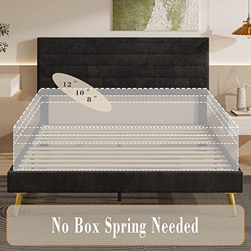 LIKIMIO Queen Bed Frame, Upholstered Platform Bed with Headboard Heavy Strong Metal/Wood Supports, Easy Assembly, Noise-Free, No Box Spring Needed, Black