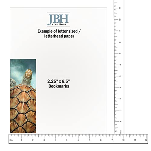 JBH Creations Ocean Animal Bookmarks - Pack of 48